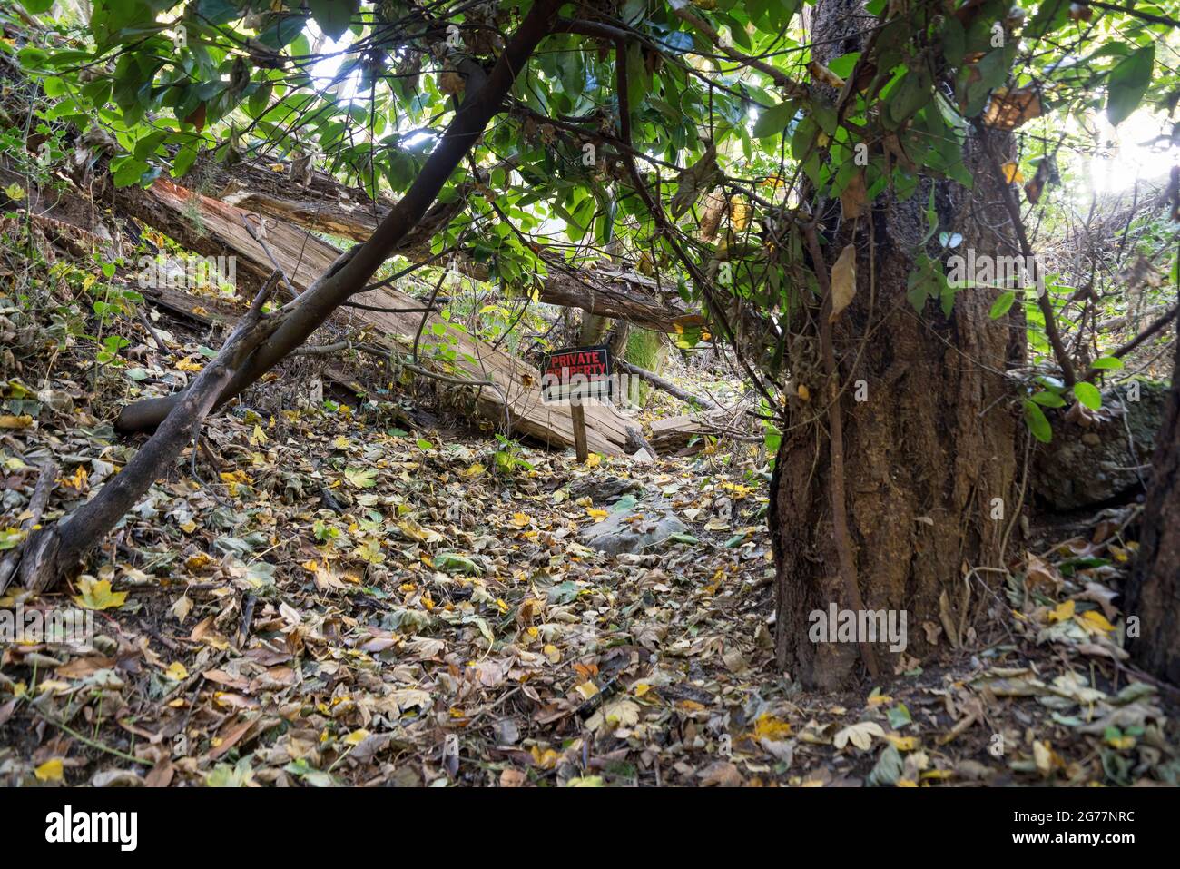 Log barriers hi-res stock photography and images - Alamy