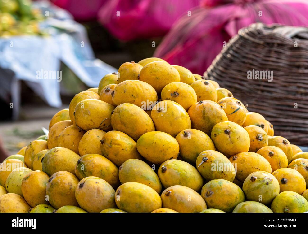 yellow ripped mangoes in market , many mangoes in fruit market for sale ...