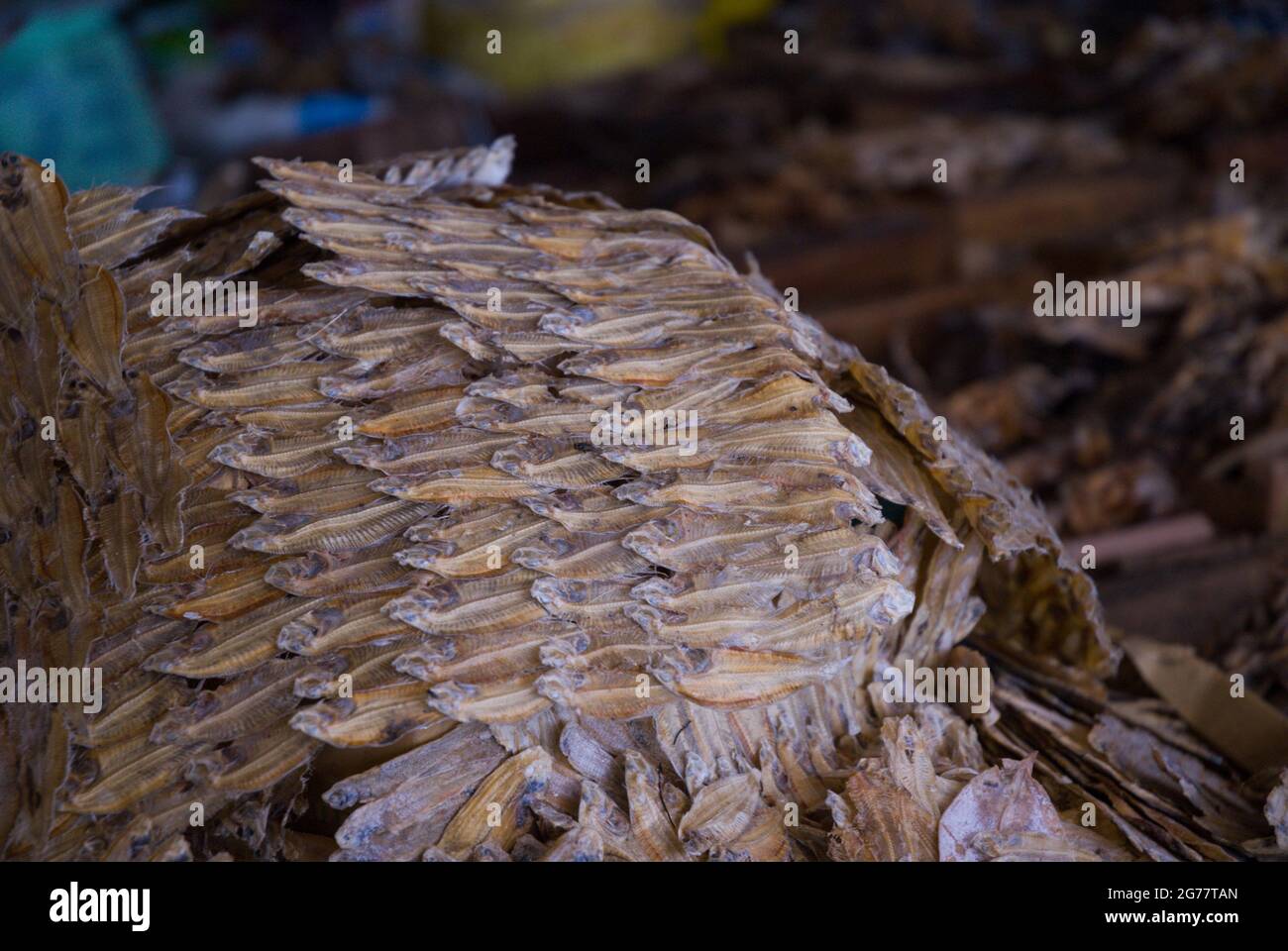 Dried fish for sale in the market Stock Photo - Alamy