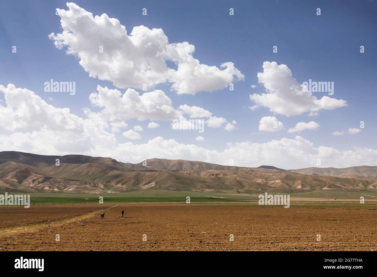 Landscape of Alborz mountains and fields, national road 79, to Sari ...