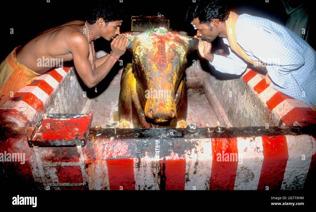 Bull god hi-res stock photography and images - Alamy