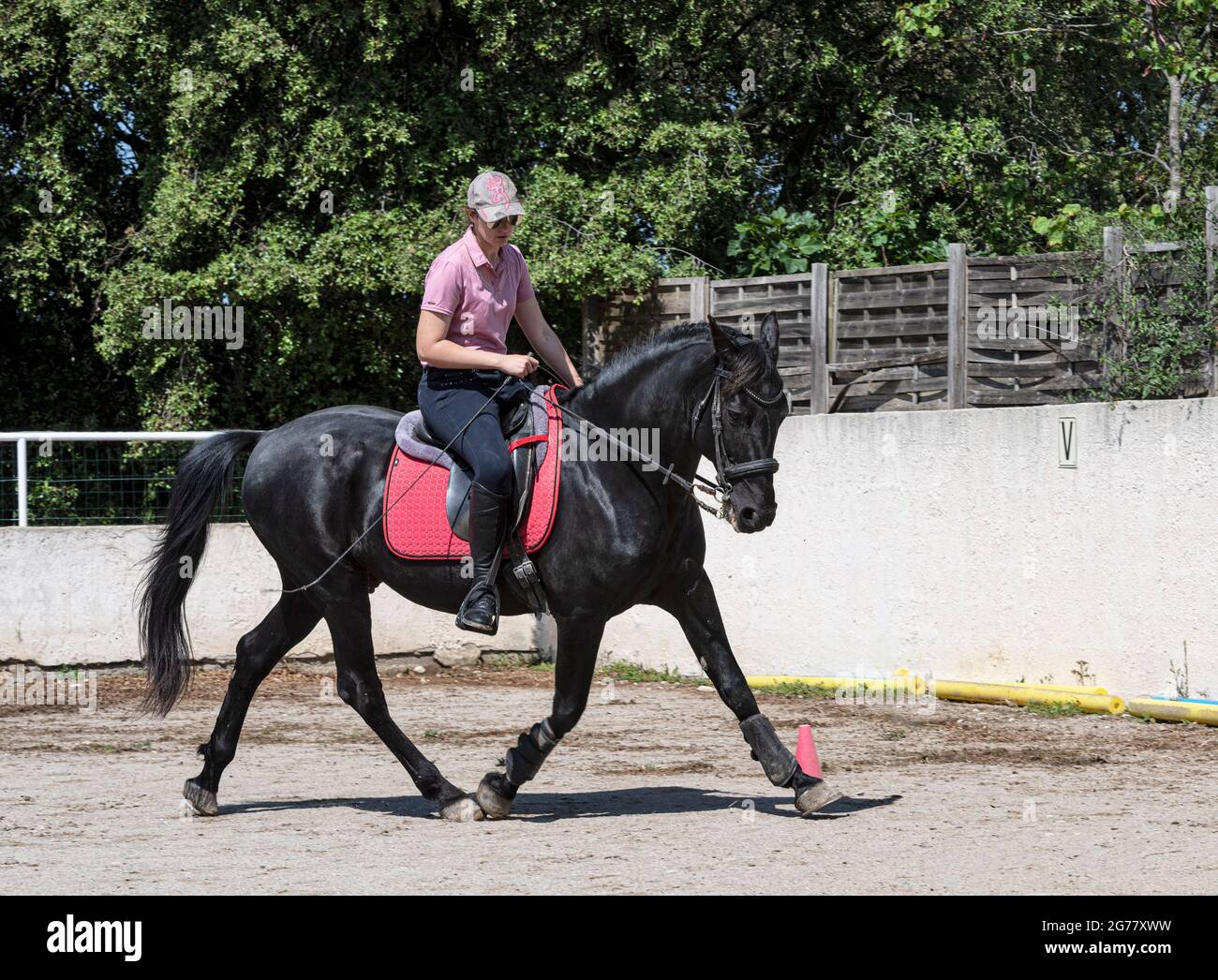 riding girl are training her black horse Stock Photo - Alamy