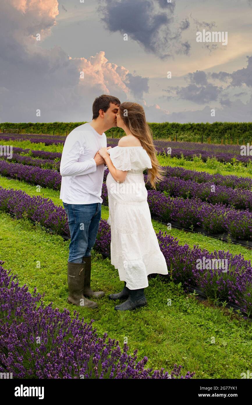 Lizard Peninsula Cornwall, we are the UK’s most southerly Lavender Farm ...