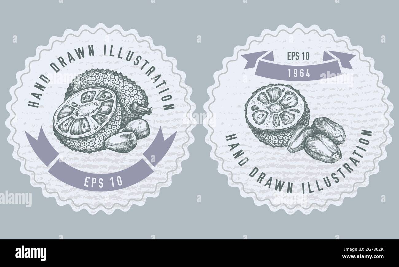 Monochrome labels design with illustration of jackfruit Stock Vector ...