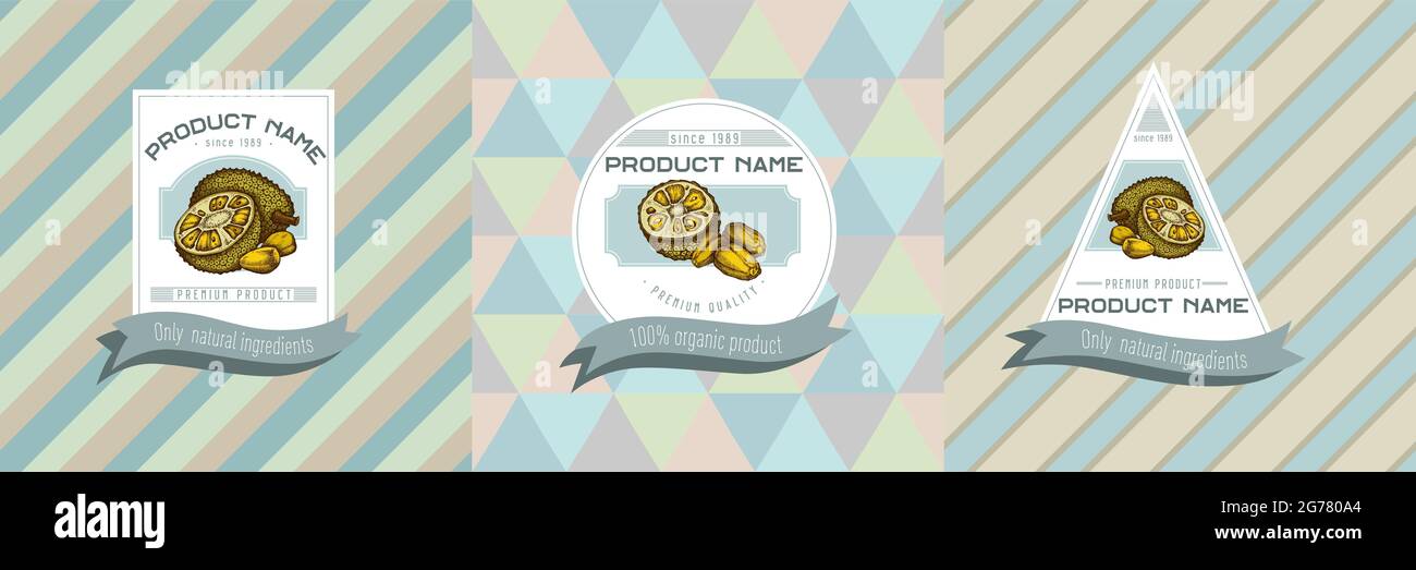 Three colored labels with illustration of jackfruit Stock Vector Image ...