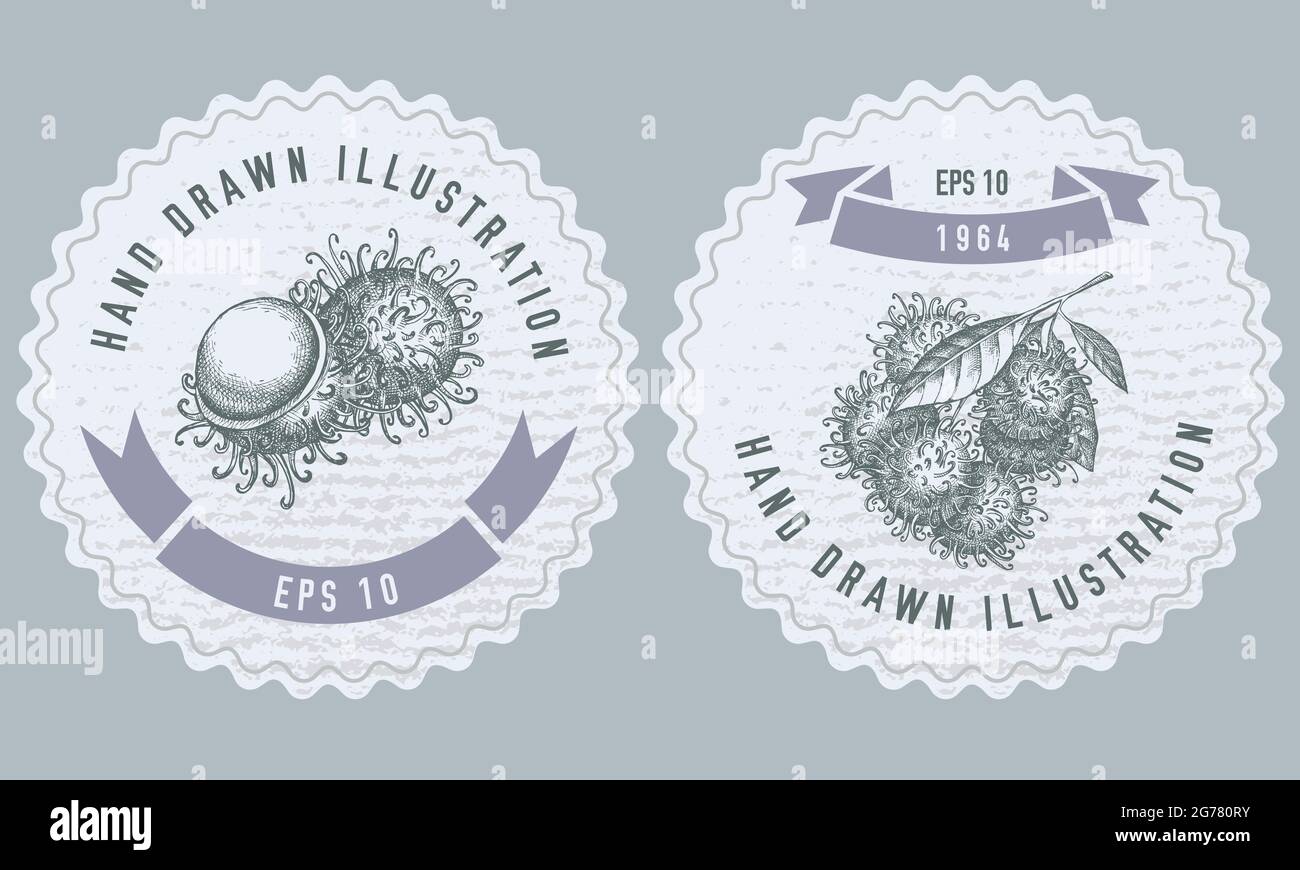 Fresh rambutan with leaf Stock Vector Images - Alamy