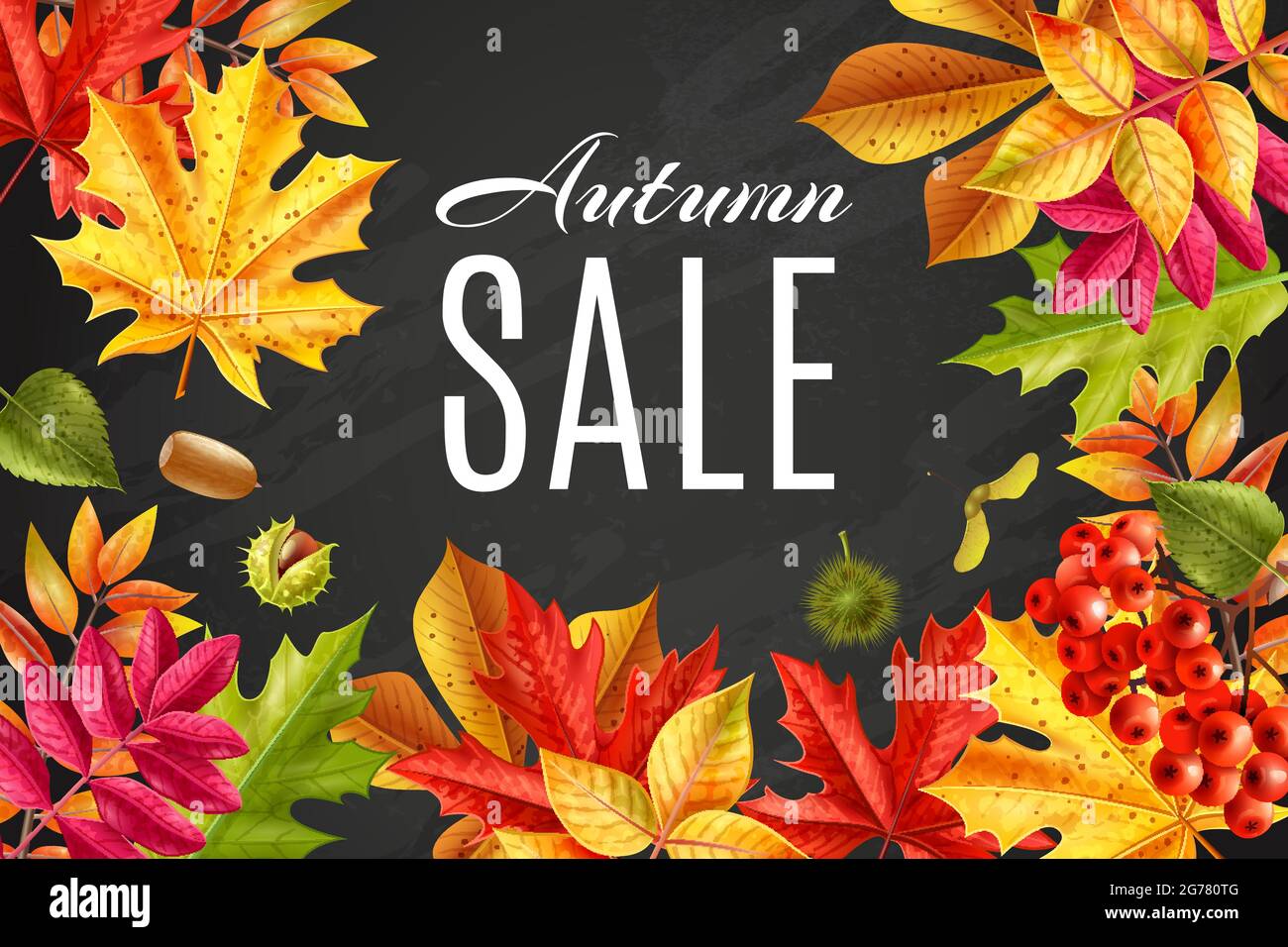 Realistic fall sale chalkboard frame background with space for editable ...