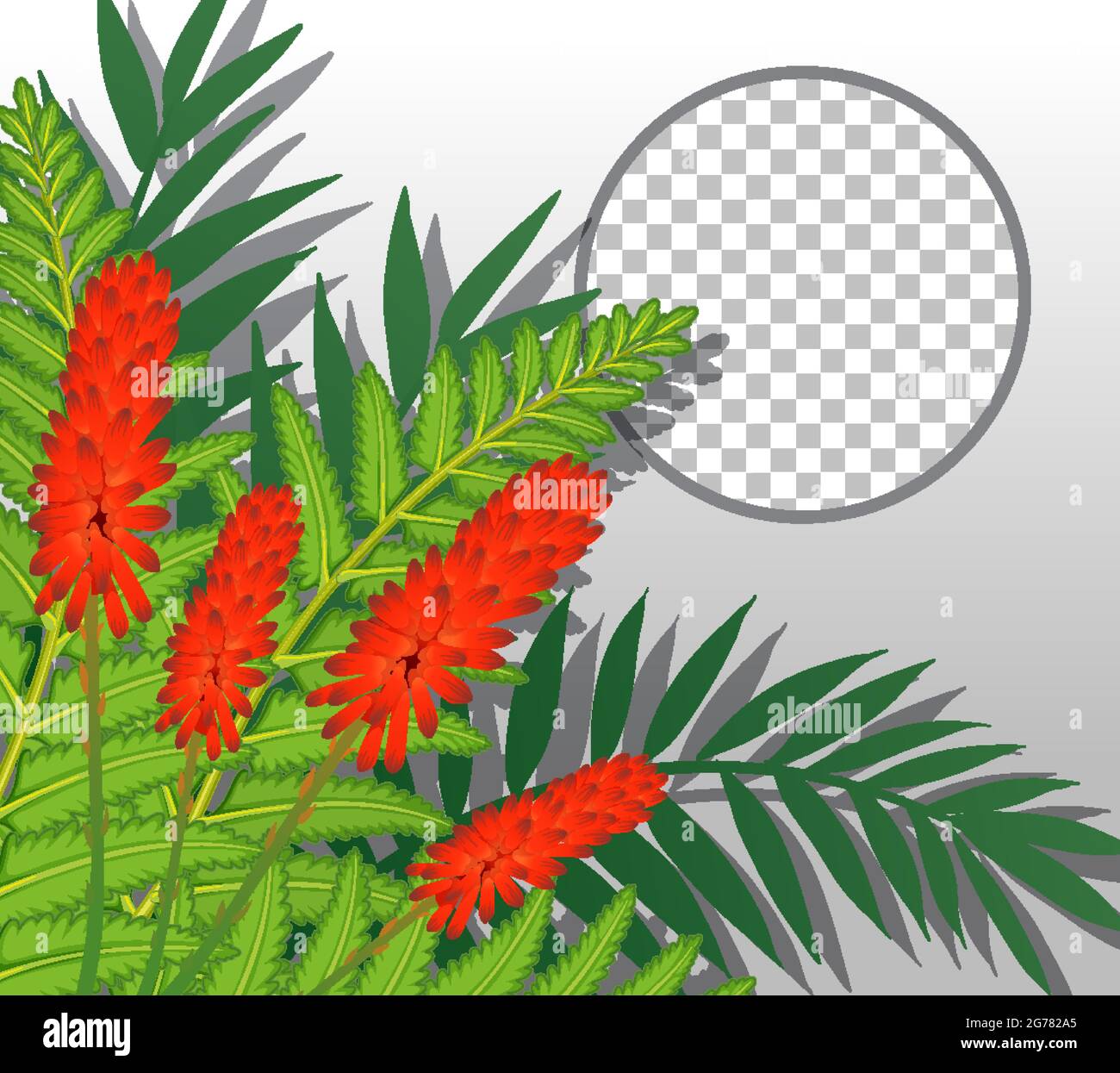 Round frame transparent with red flowers and leaves template ...