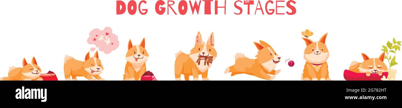 Dog growth stages composition with set of isolated cartoon style ...