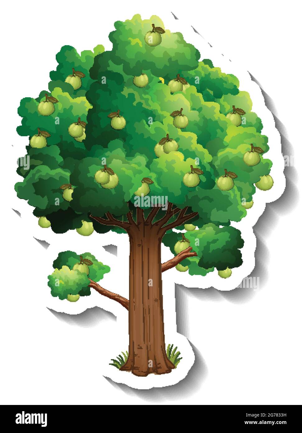 Guava tree sticker on white background illustration Stock Vector Image ...