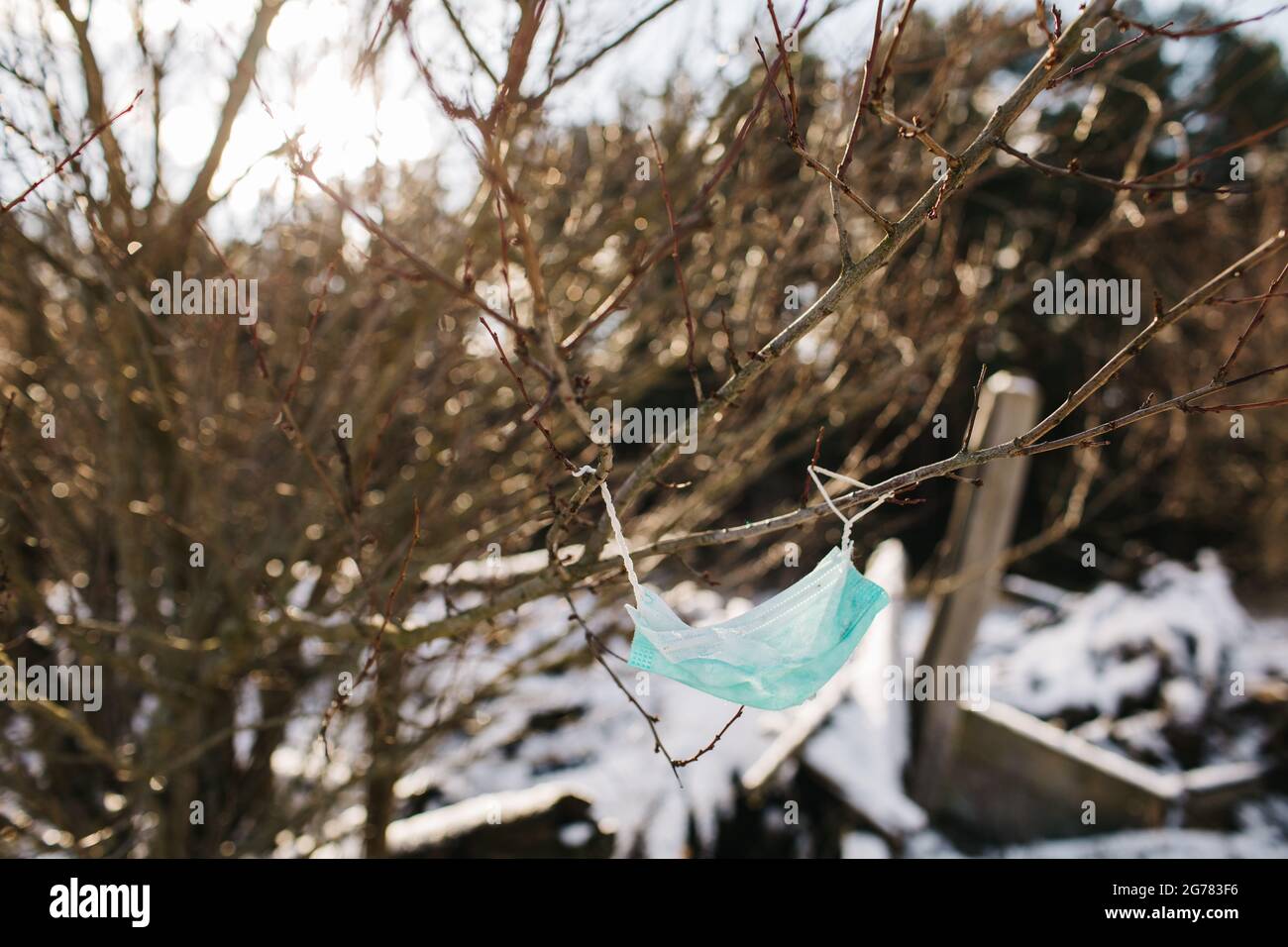 blue used mask on wood, face mask pollution of nature, Discarded ...