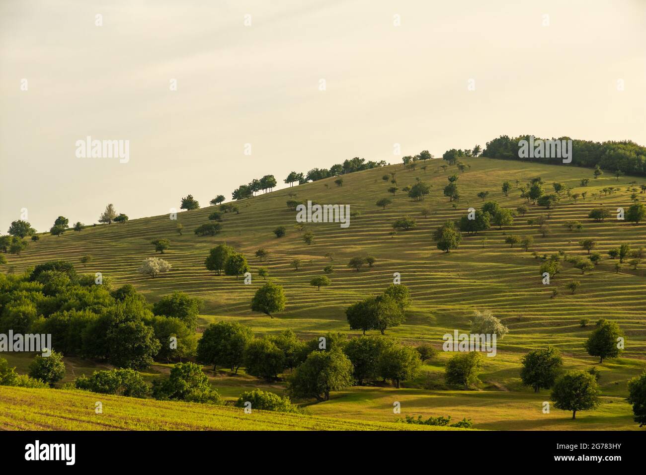 romania, dobrogea landscape in sunset light Stock Photo - Alamy