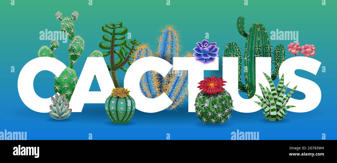 Cactus letters composition with editable text surrounded by images of ...