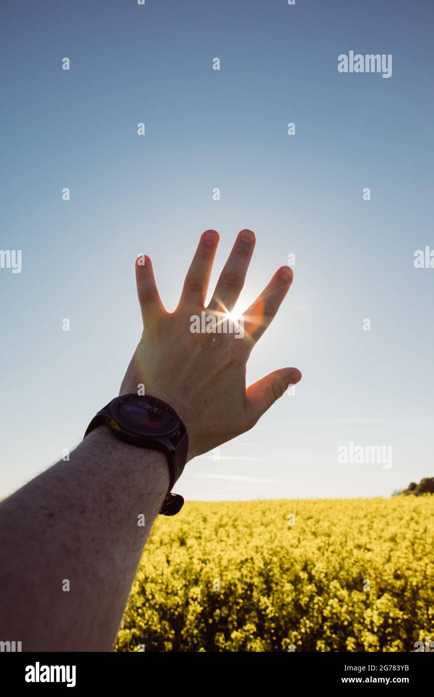 man hands with watch on wrist sun rays goes though fingers copy space ...