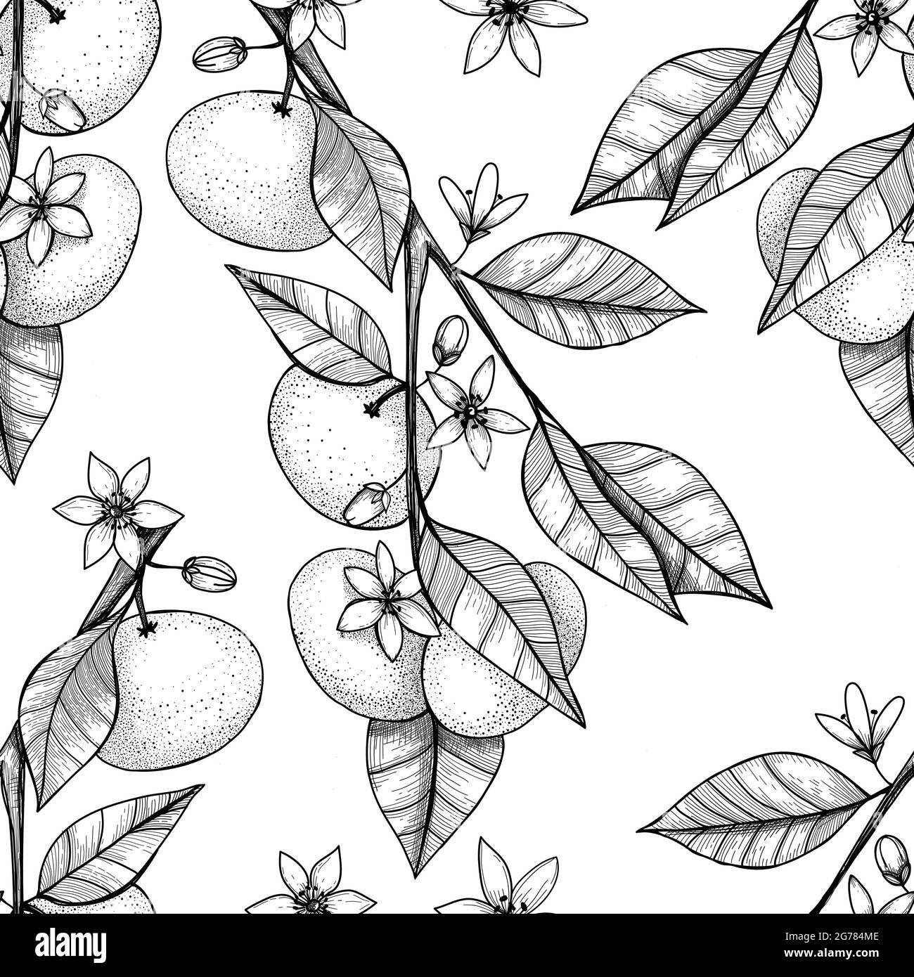 Tangerine in hand isolated Stock Vector Images - Alamy