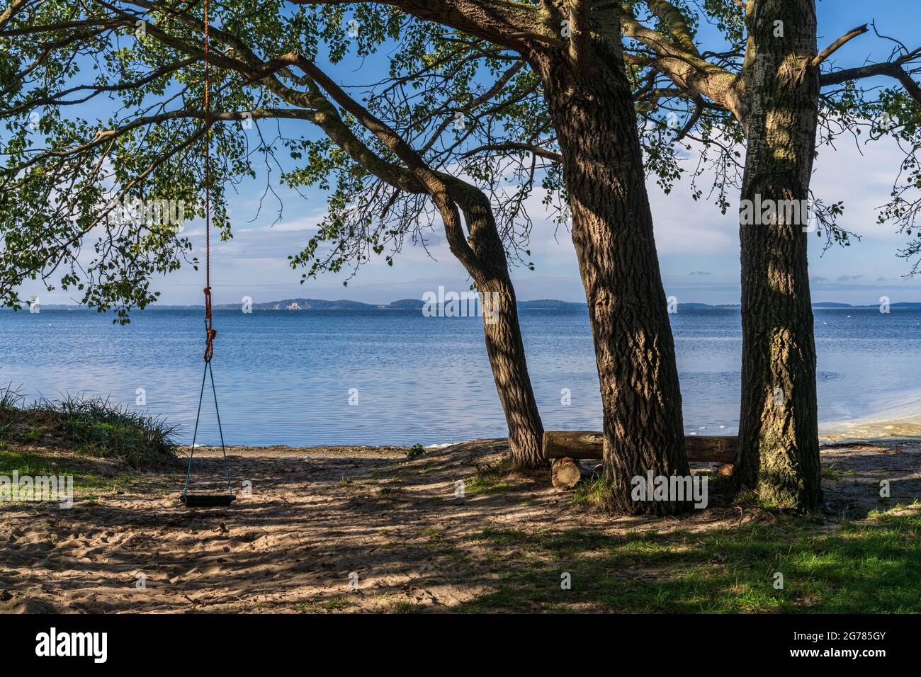 A tree swing and the beach in Neuhof, Mecklenburg-Western Pomerania ...
