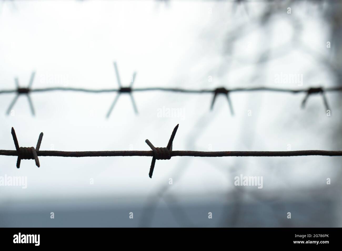 barbed wire is stretched by horizontal lines Stock Photo - Alamy