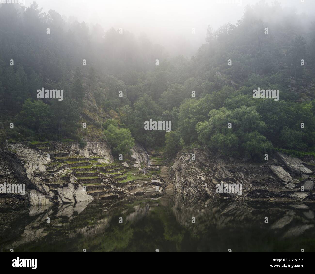 Slate cliffs covered in misty forest rush into the waters of the river ...