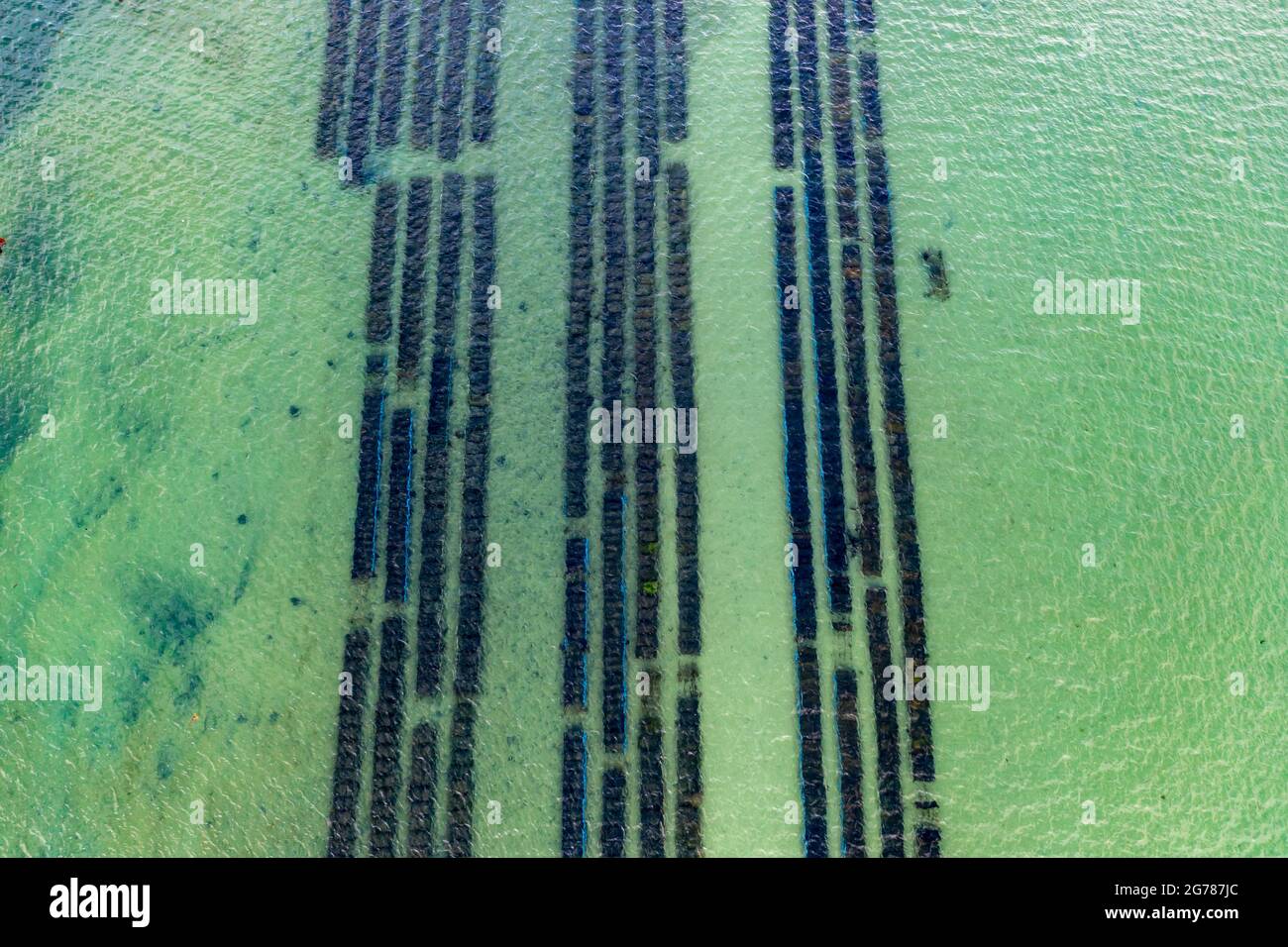 Aerial view of loyster farm by Ardara, County Donegal - Ireland Stock ...
