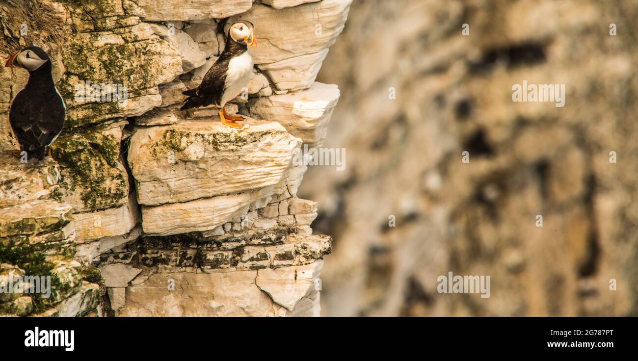 Eye rocks hi-res stock photography and images - Alamy