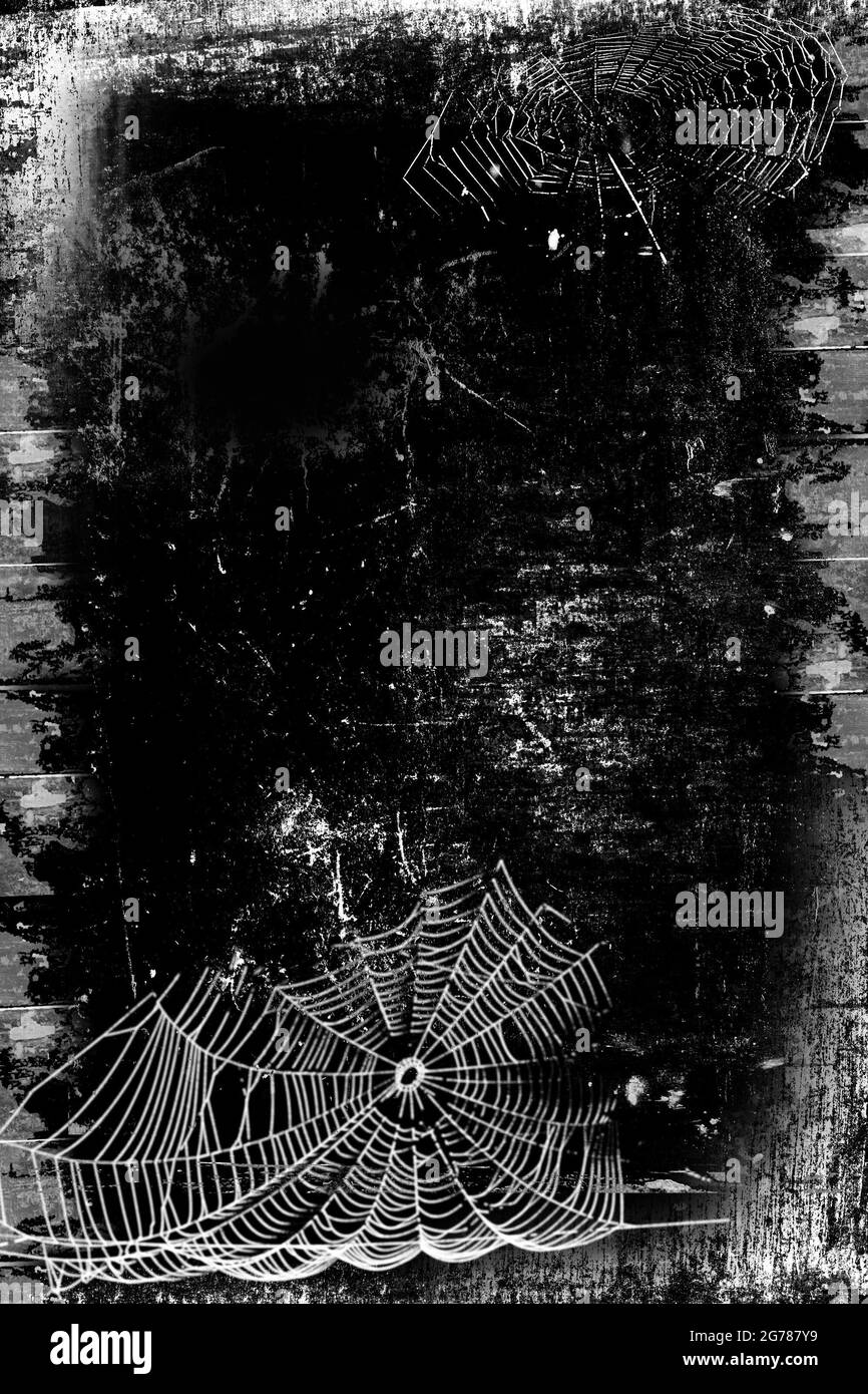 Helloween party Black and White Stock Photos & Images - Alamy