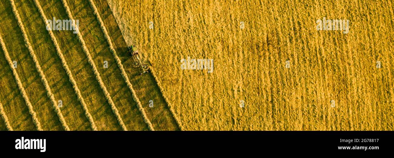 Aerial view of a agricultural machine during hay production. Beauty and ...