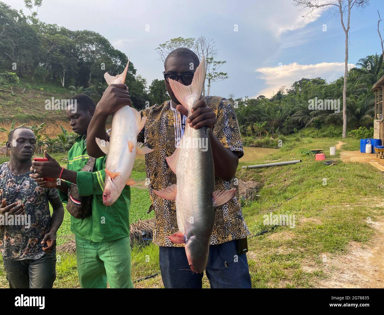 Cameroon species hi-res stock photography and images - Alamy