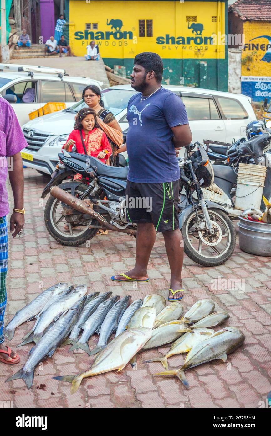 Indian male fishmonger with an assortment of large fish laid out on ...