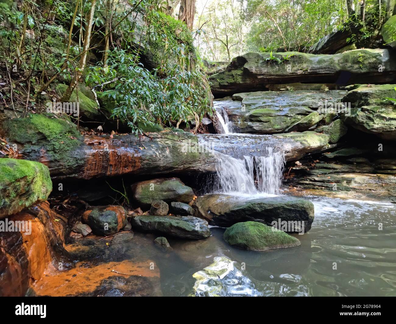 Creeks and waterfall in the forest bush landscape photography Stock ...