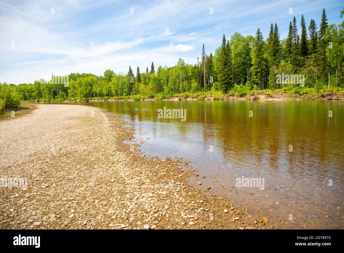 River Taidon flowing through the taiga forests, South Siberia, Russia ...