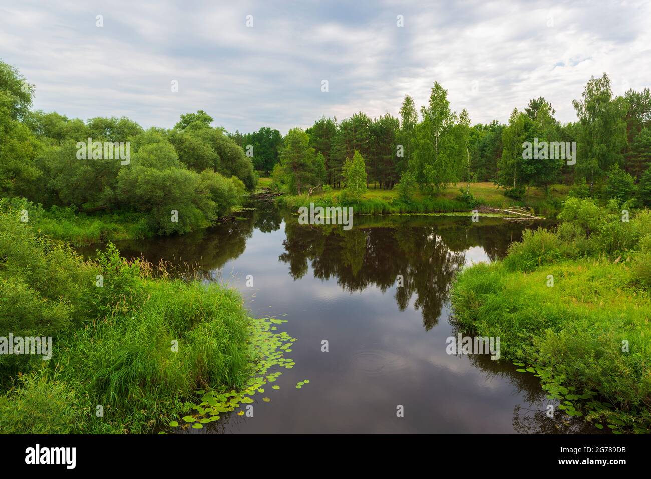 Tranquil countryside landscape. Calm river and the deepforest Stock ...