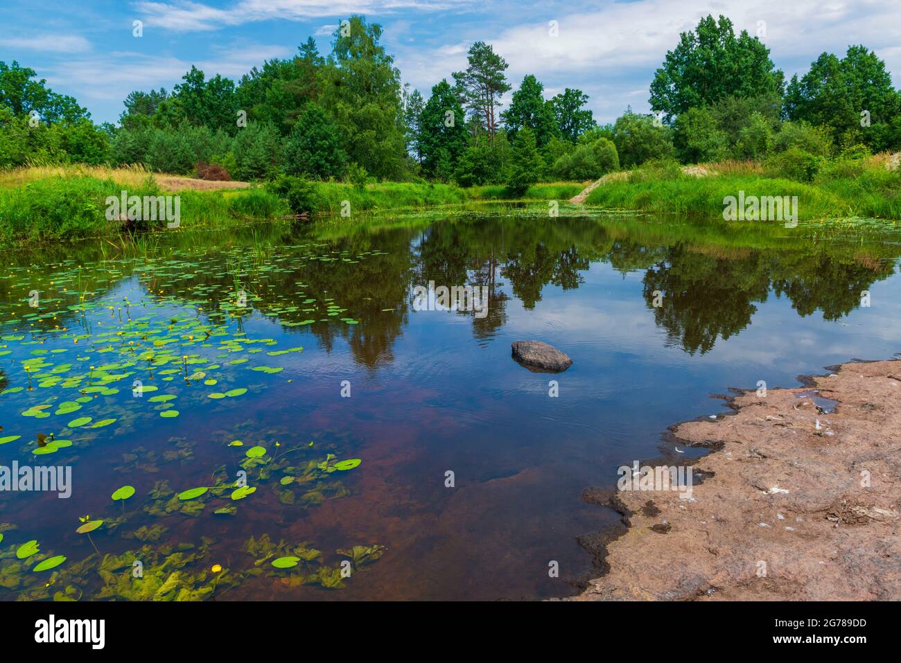 Beautiful river bank in sunny hi-res stock photography and images - Alamy