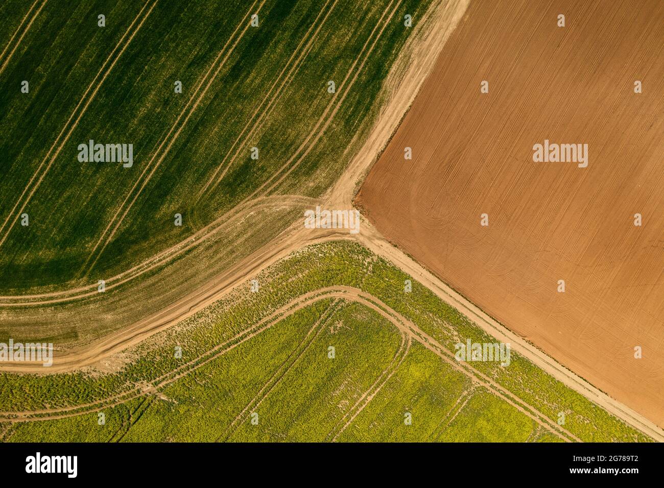 Aerial image of agricultural field with different cultures and colors ...