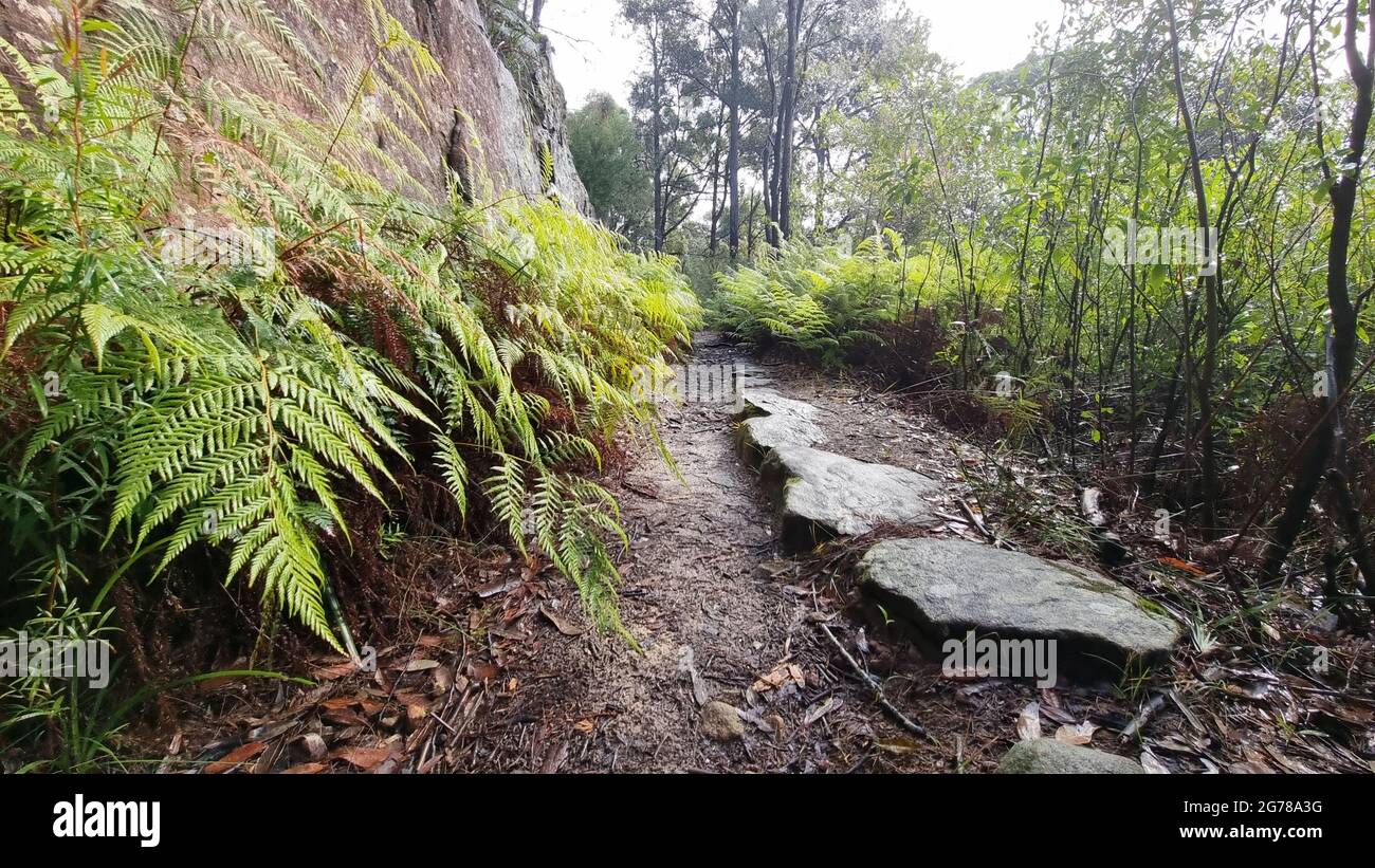 Australian bushwalking hi-res stock photography and images - Alamy