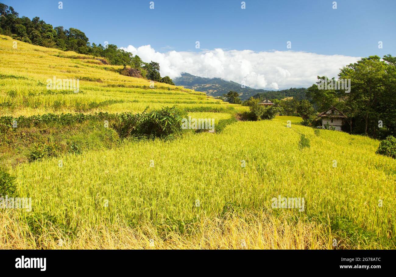 Himalayan farming hi-res stock photography and images - Alamy