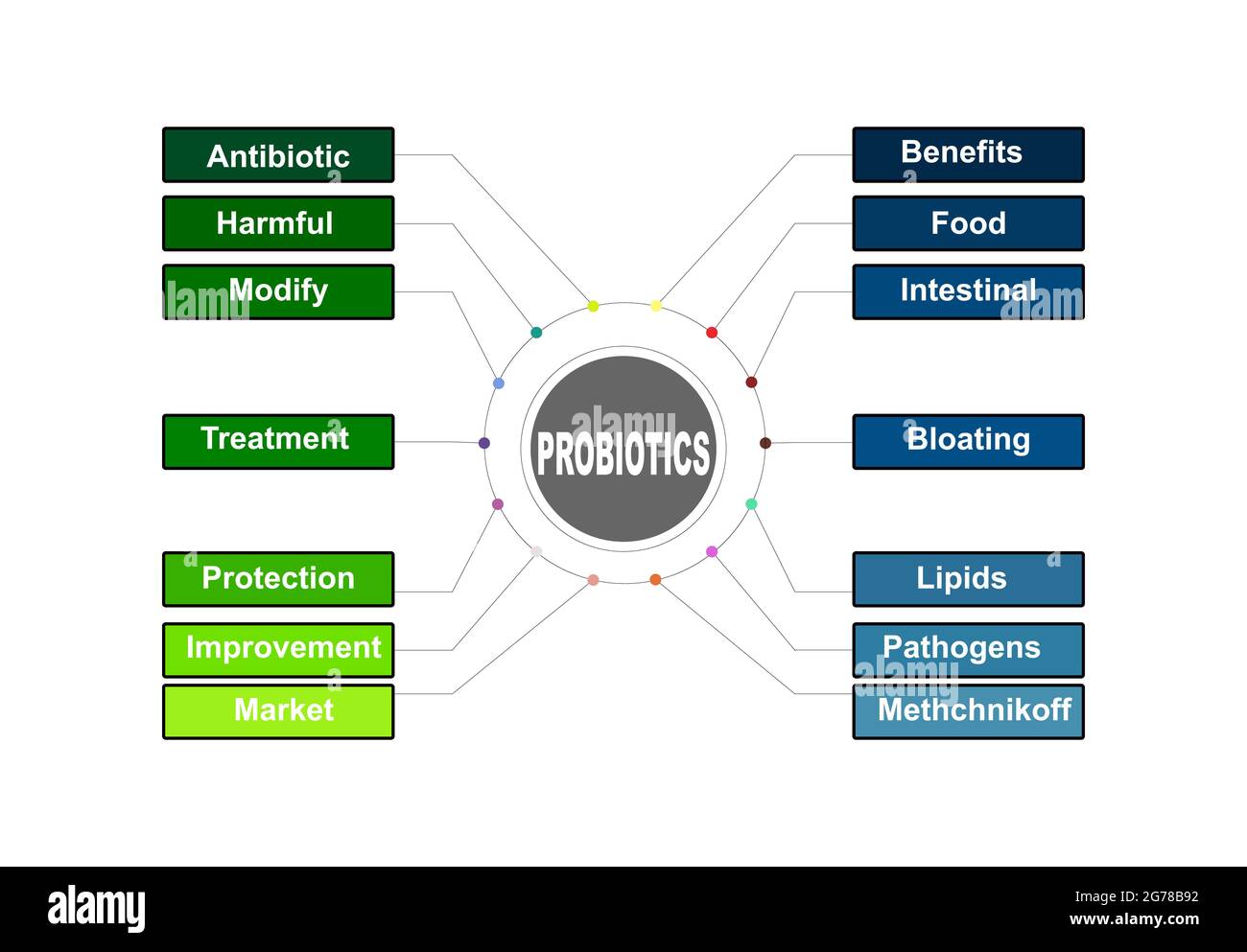 Probiotics vector vectors hi-res stock photography and images - Alamy
