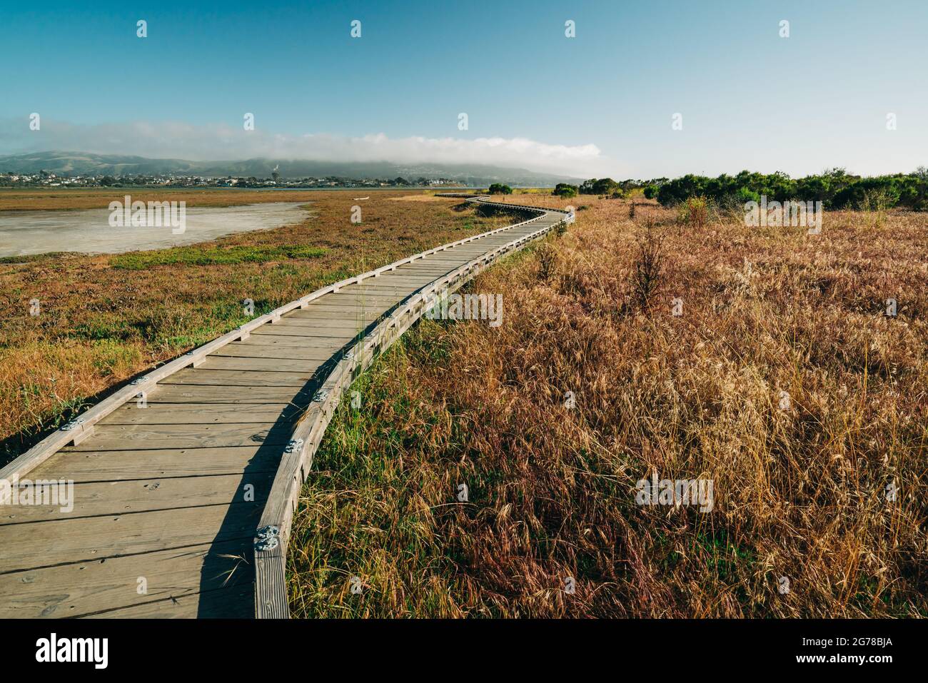 Boardwalk through the fragile area at Morro Bay State Park, California ...