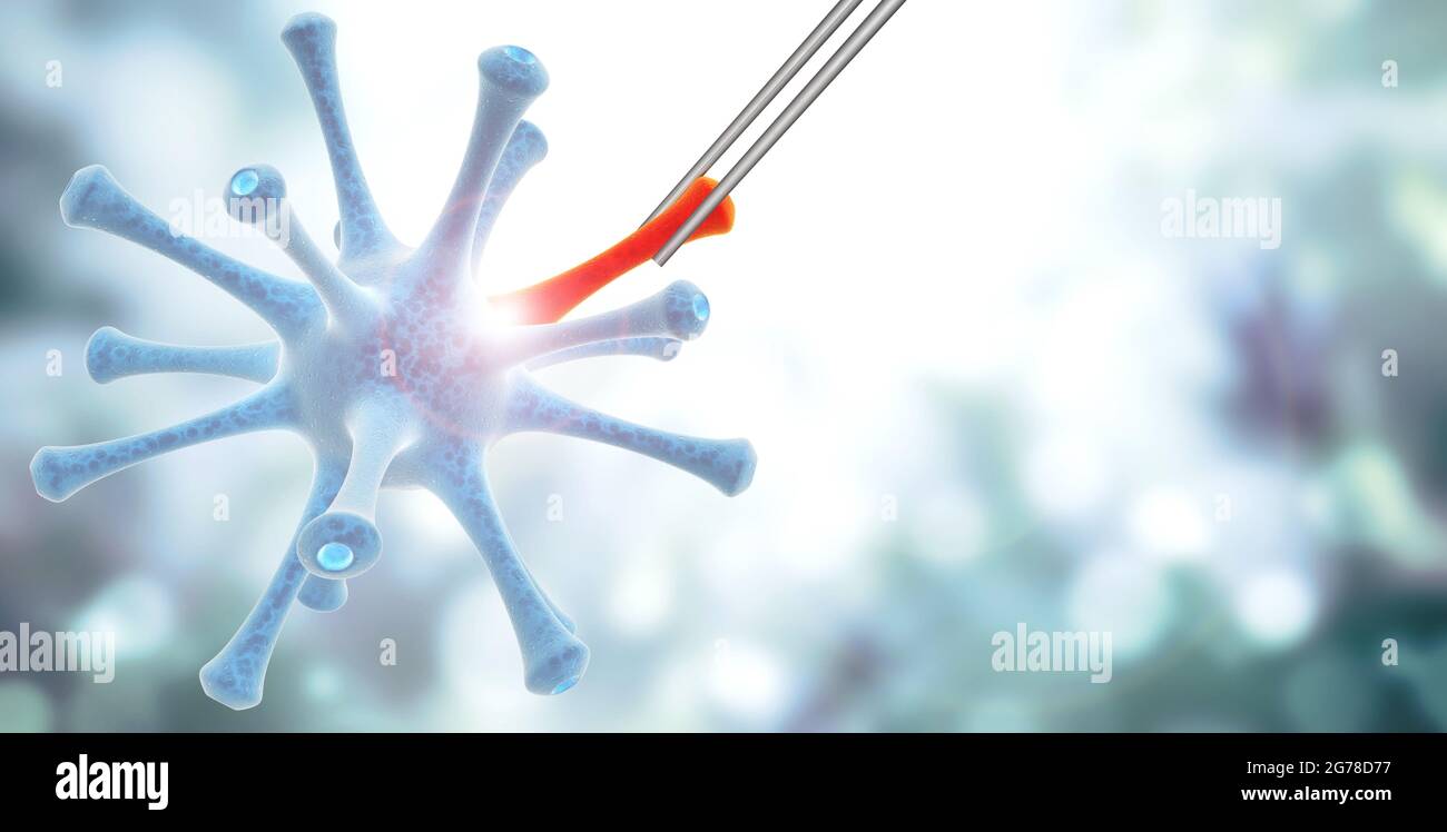 Replacing a virus section. Artificial modification of the virus ...