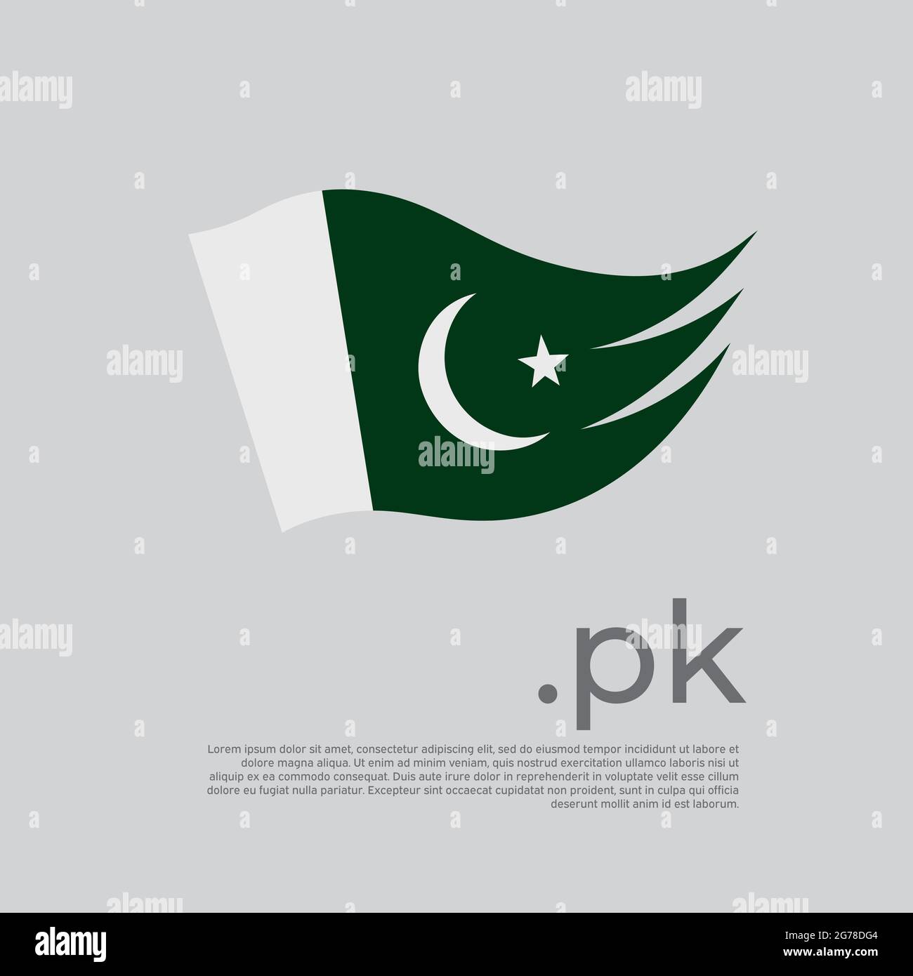 Pakistan flag. Vector stylized design national poster on a white ...