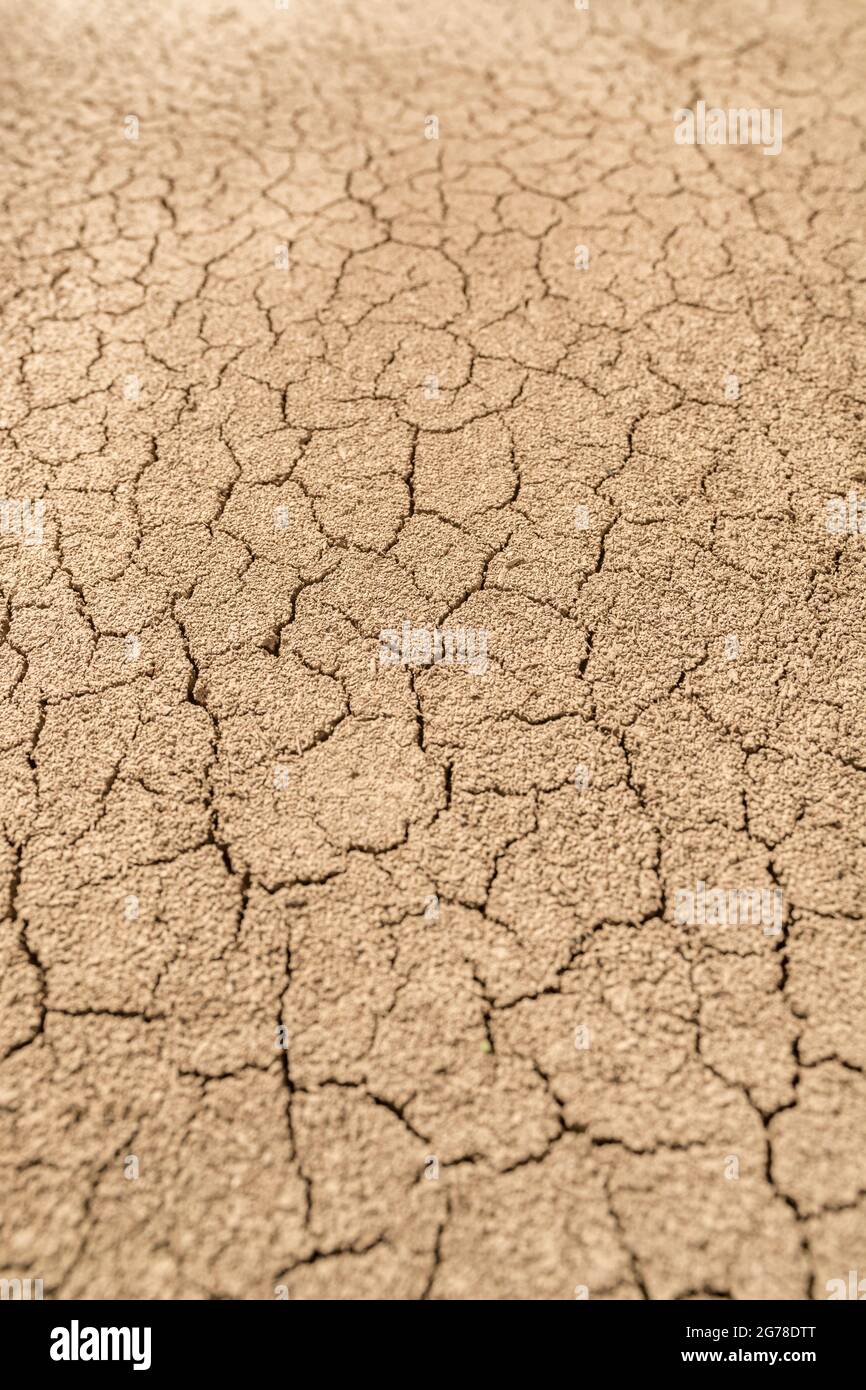 Close shot soil drying out & cracking. For drought, parched earth, crop ...