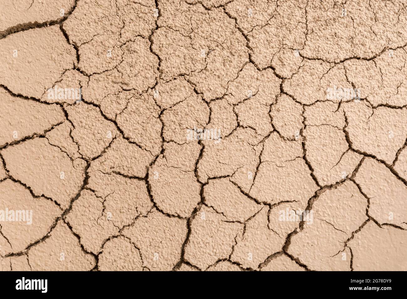 Close shot soil drying out & cracking. For drought, parched earth, crop ...