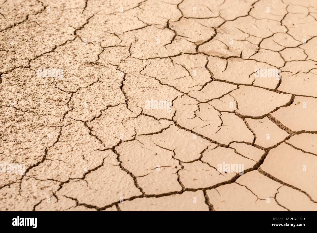Close shot soil drying out & cracking. For drought, parched earth, crop ...