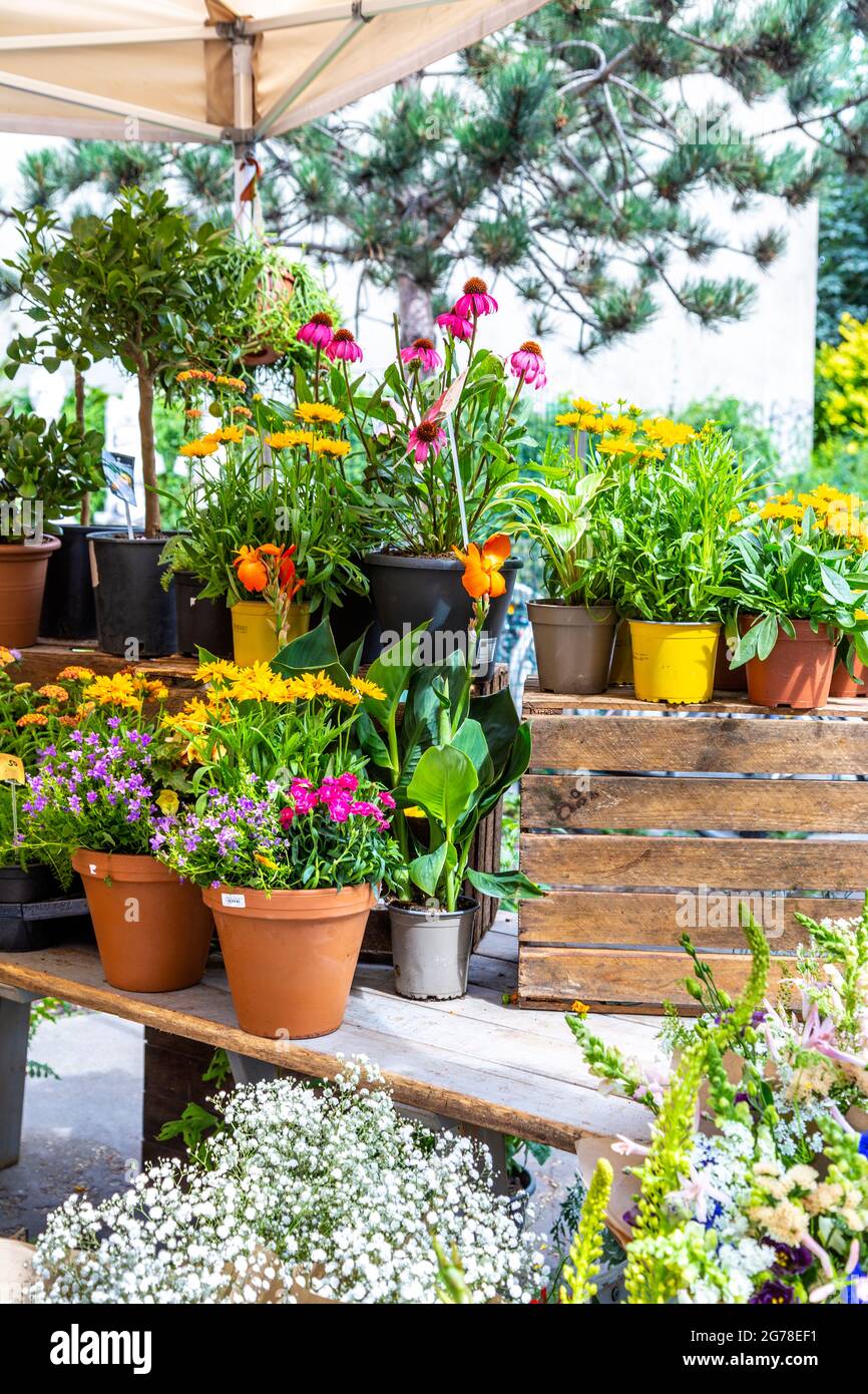 Flower stall (Igloo Florwes) on Bermonsey Street, London, UK Stock ...