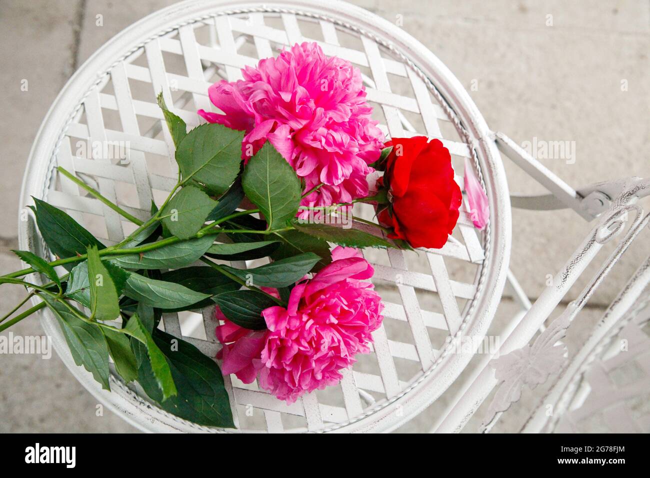 Garden red peonies hi-res stock photography and images - Alamy
