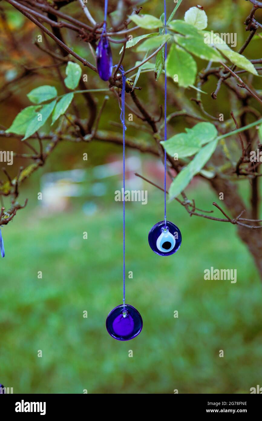 Turkish Nazar amulets (Turkish eye) hanging on a tree in the garden ...