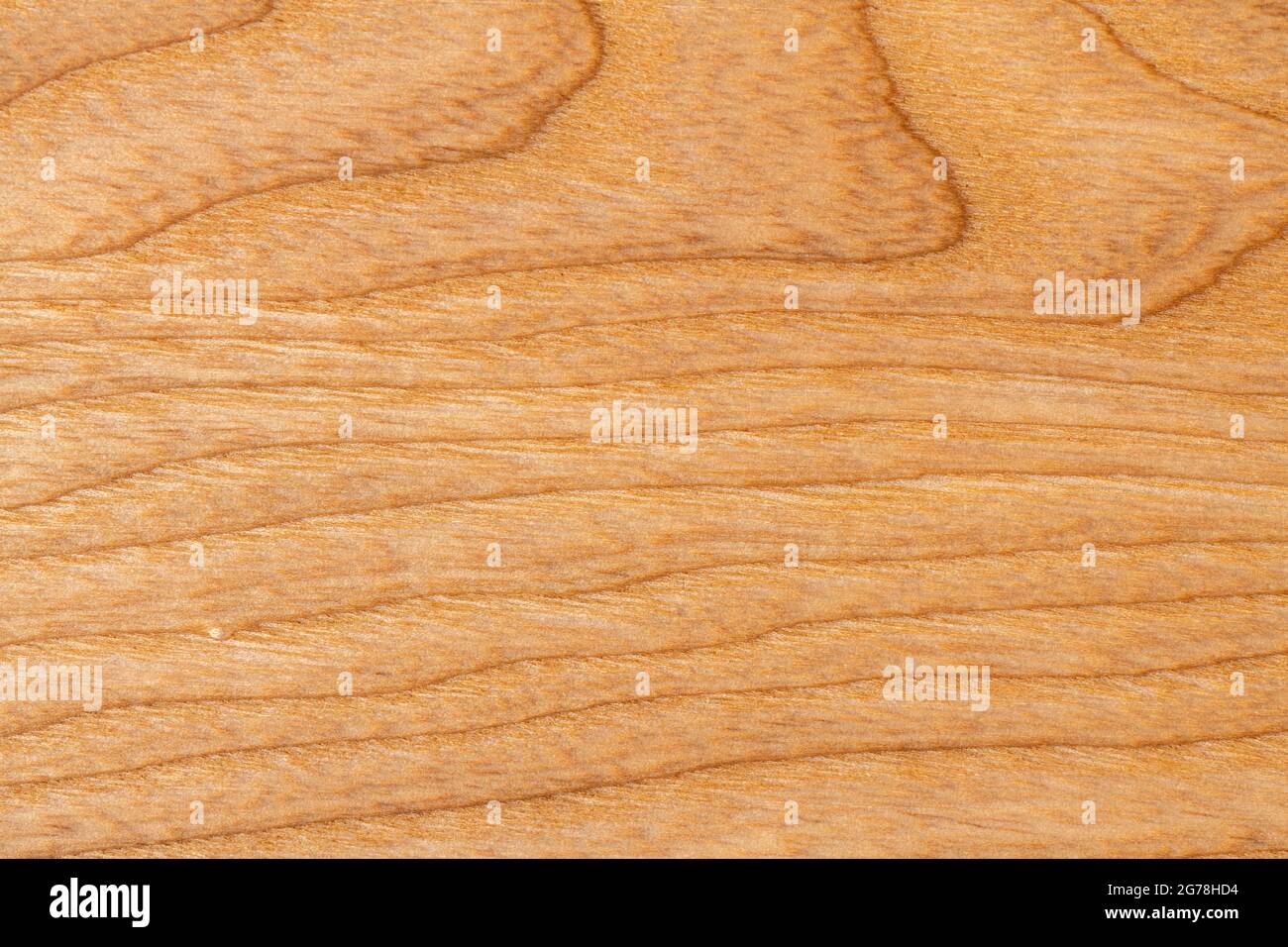 Ash Wood Pattern Grain Texture Ash Wood Grain Stock Photo. Image Of