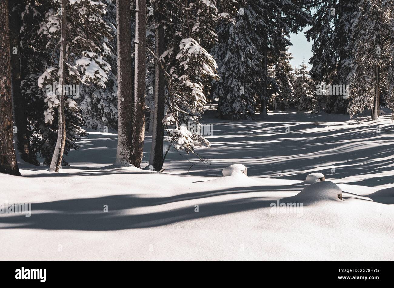Light and shadow environment hi-res stock photography and images - Alamy