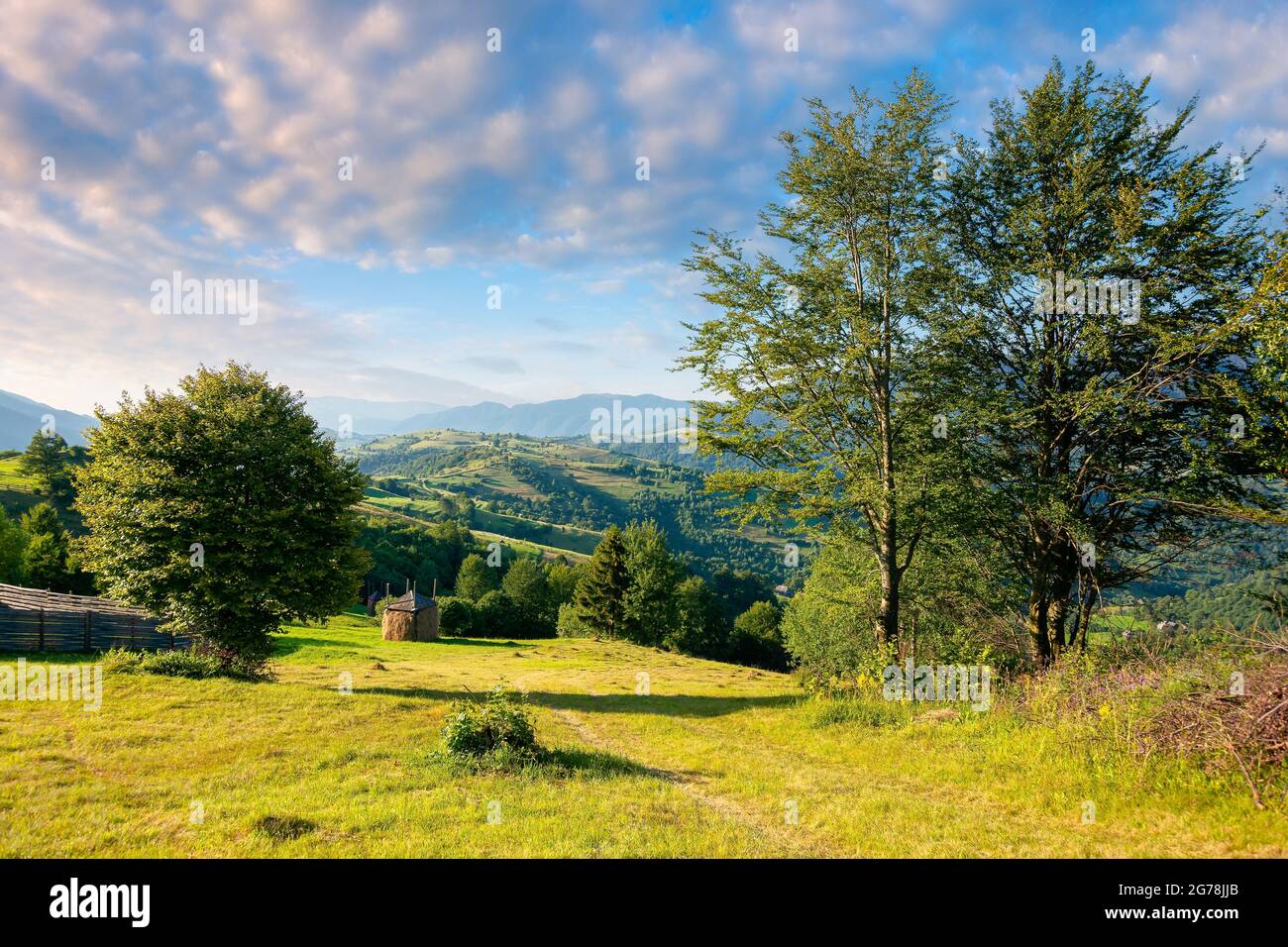 rural landscape in morning light. wonderful countryside scenery of carpathian mountainsin summer ...