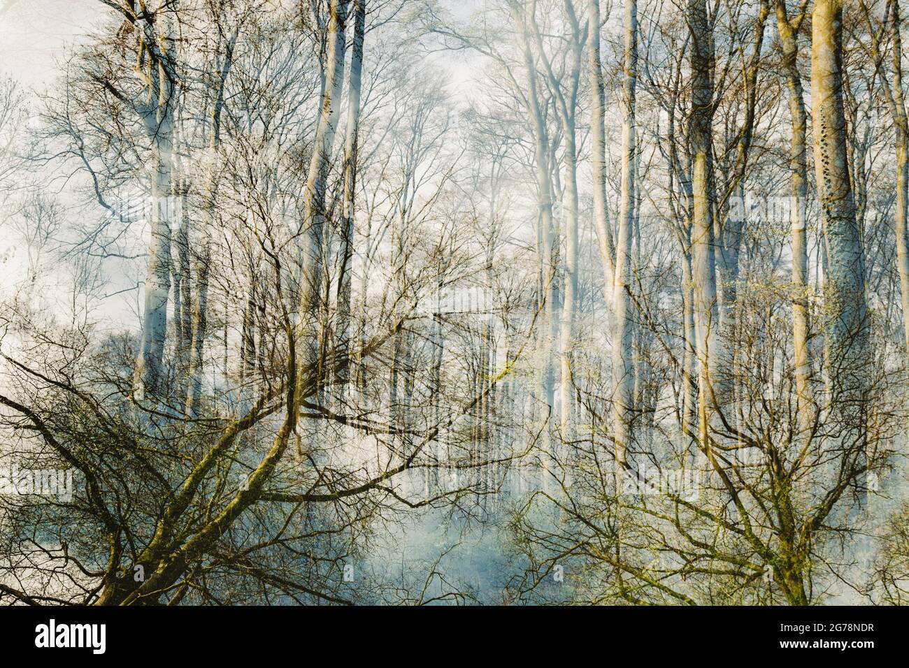 Germany, Teutoburg Forest, Intruper Berg, Lengerich Stock Photo - Alamy