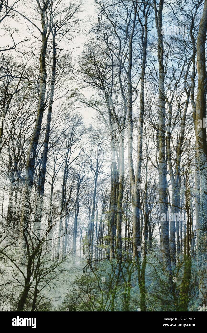 Germany, Teutoburg Forest, Intruper Berg, Lengerich Stock Photo - Alamy